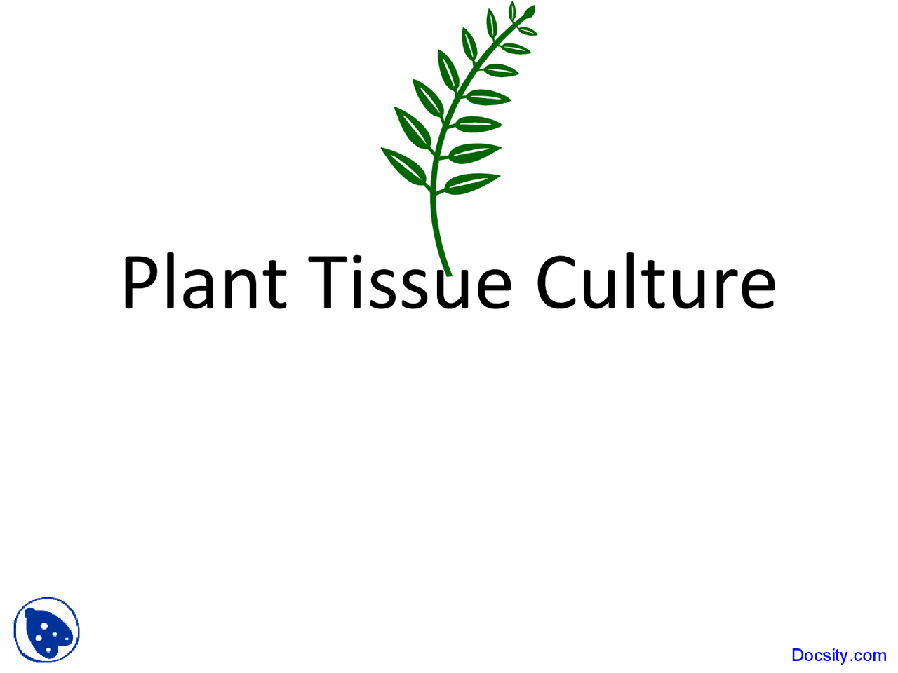 Plant Tissue, Propagation - Horticulture - Lecture Slides - Docsity