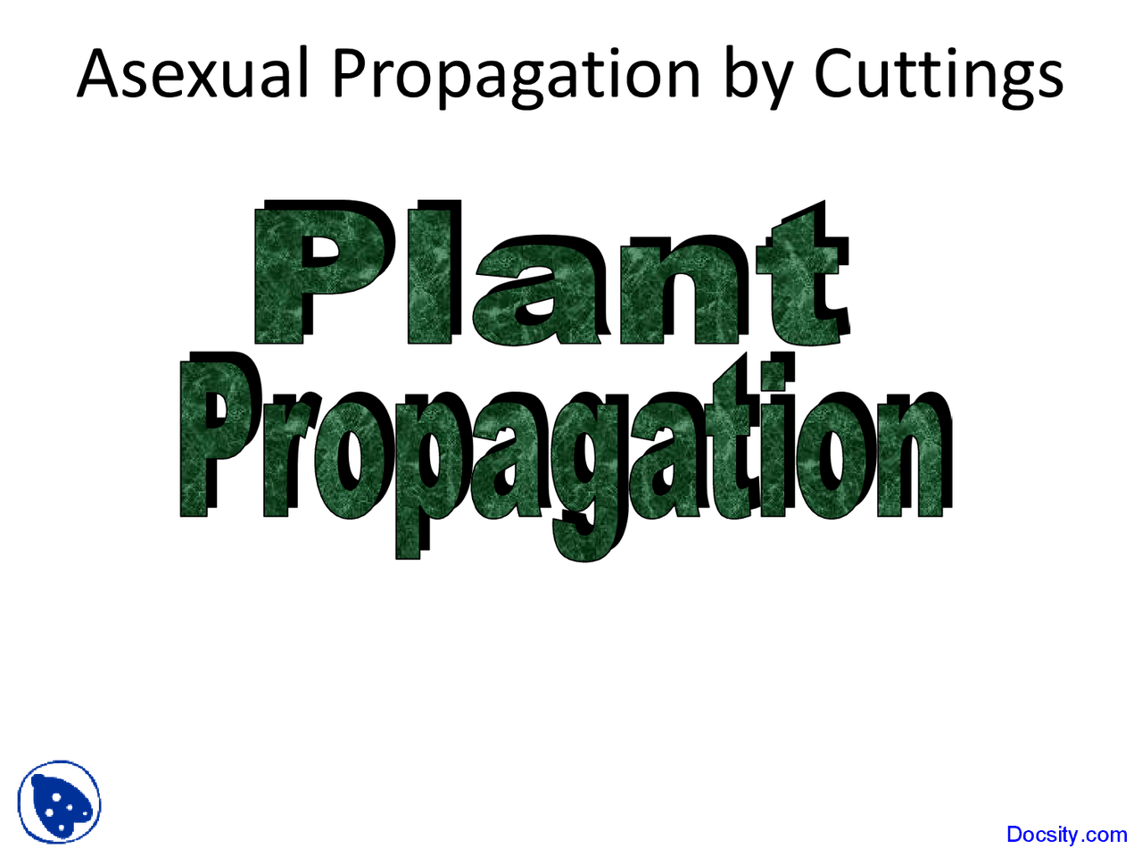 Asexual Propagation By Cuttings Propagation Horticulture Lecture