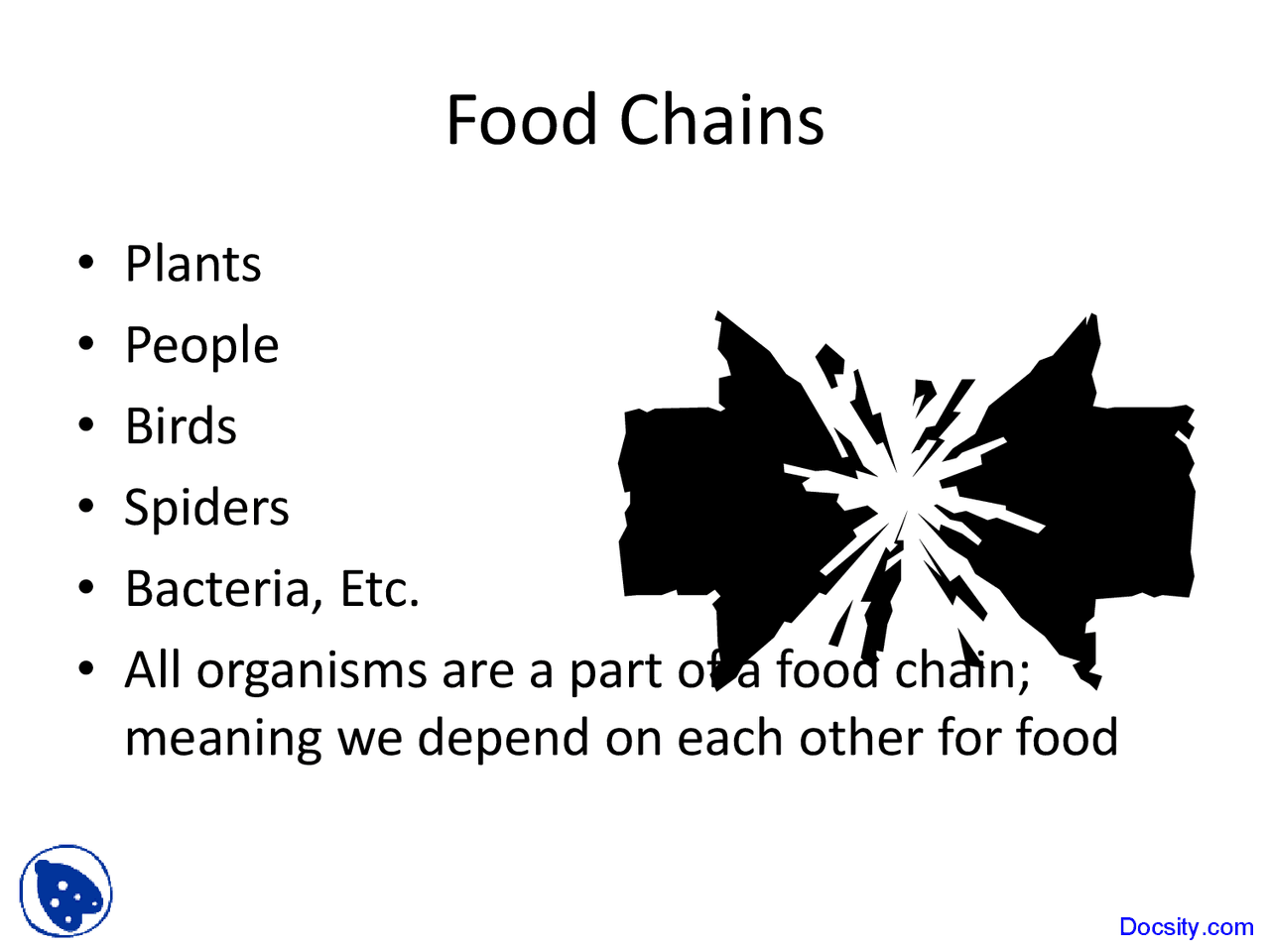 Food Chains Food Science Lecture Slides Docsity
