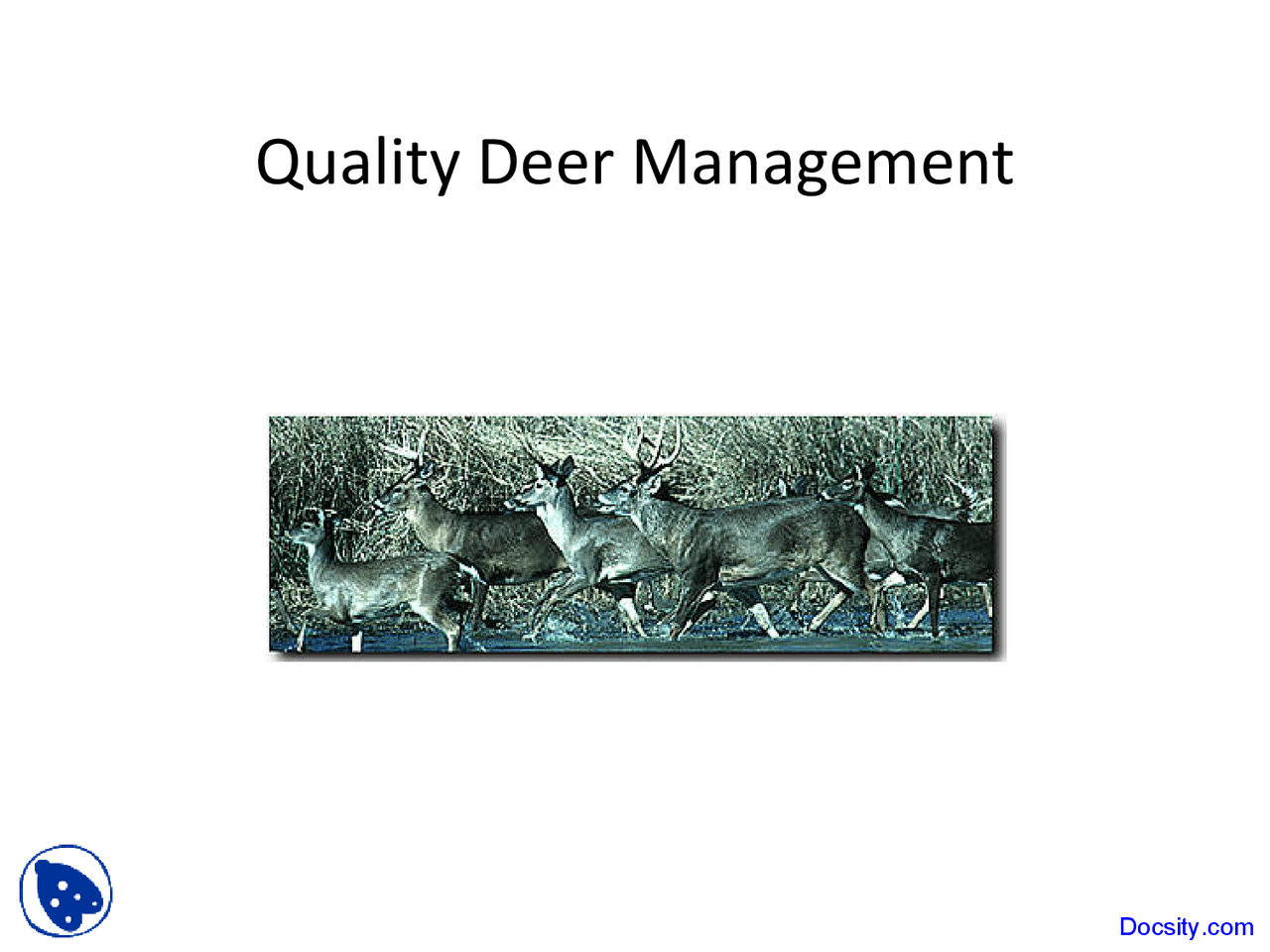 Deer Management - Forestry Natural Resources and Wildlife - Lecture ...