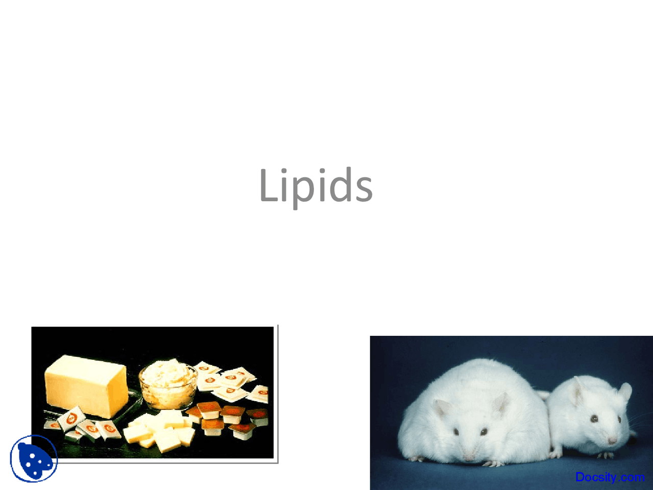 Lipids Applied Biology Lecture Slides Docsity