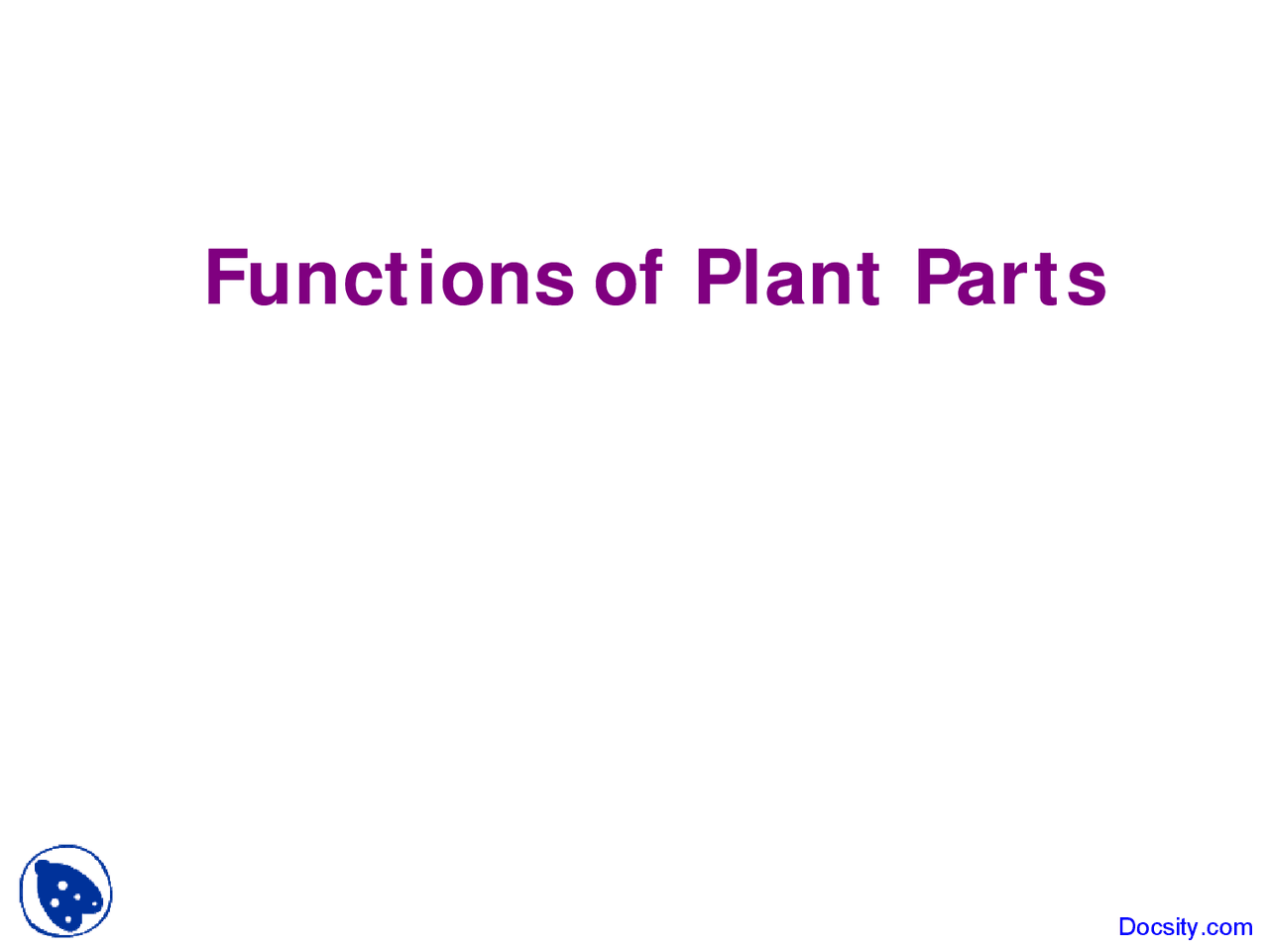 Functions Of Plant Parts Horticulture Lecture Slides Docsity