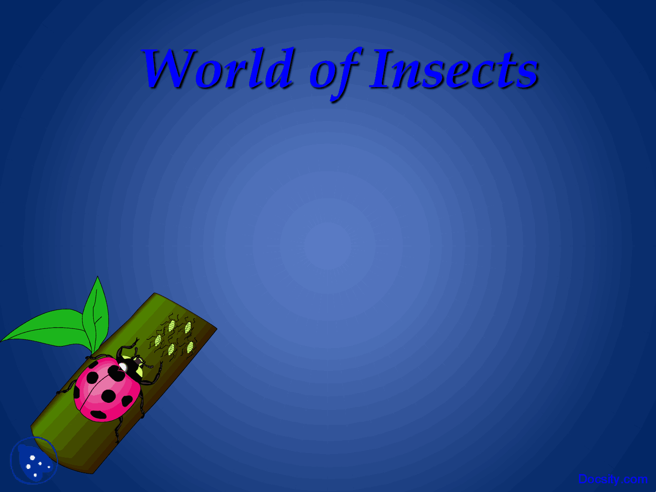 World Of Insects Insects Lecture Slides Docsity