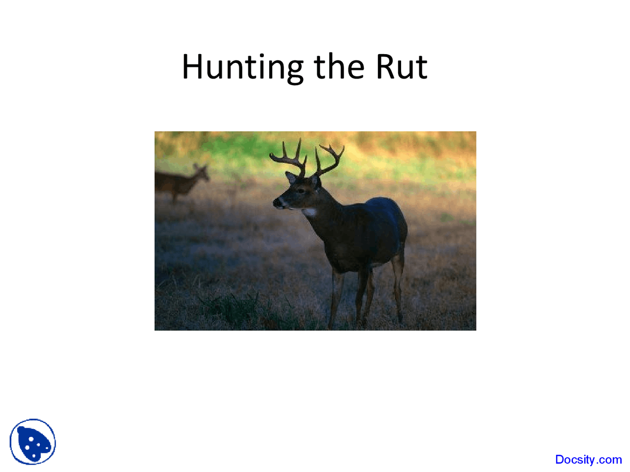Hunting The Rut Forestry Natural Resources And Wildlife Lecture