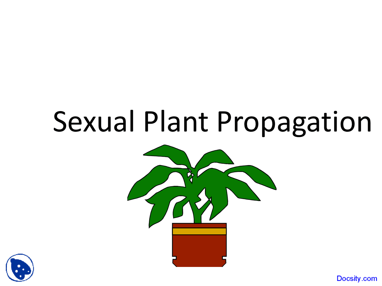 Sexual Plant Propagation Plant Science Lecture Slides Slides