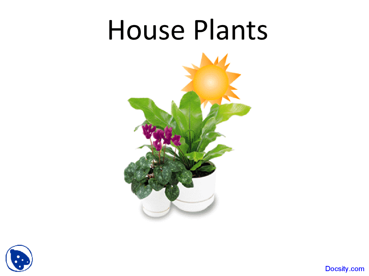 House Plants Greenhouse Operations Horticulture Lecture Slides