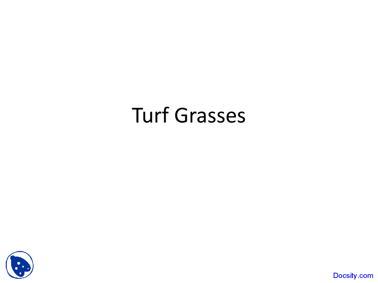 Turf Grasses Lawn Turf Horticulture Lecture Slides Docsity