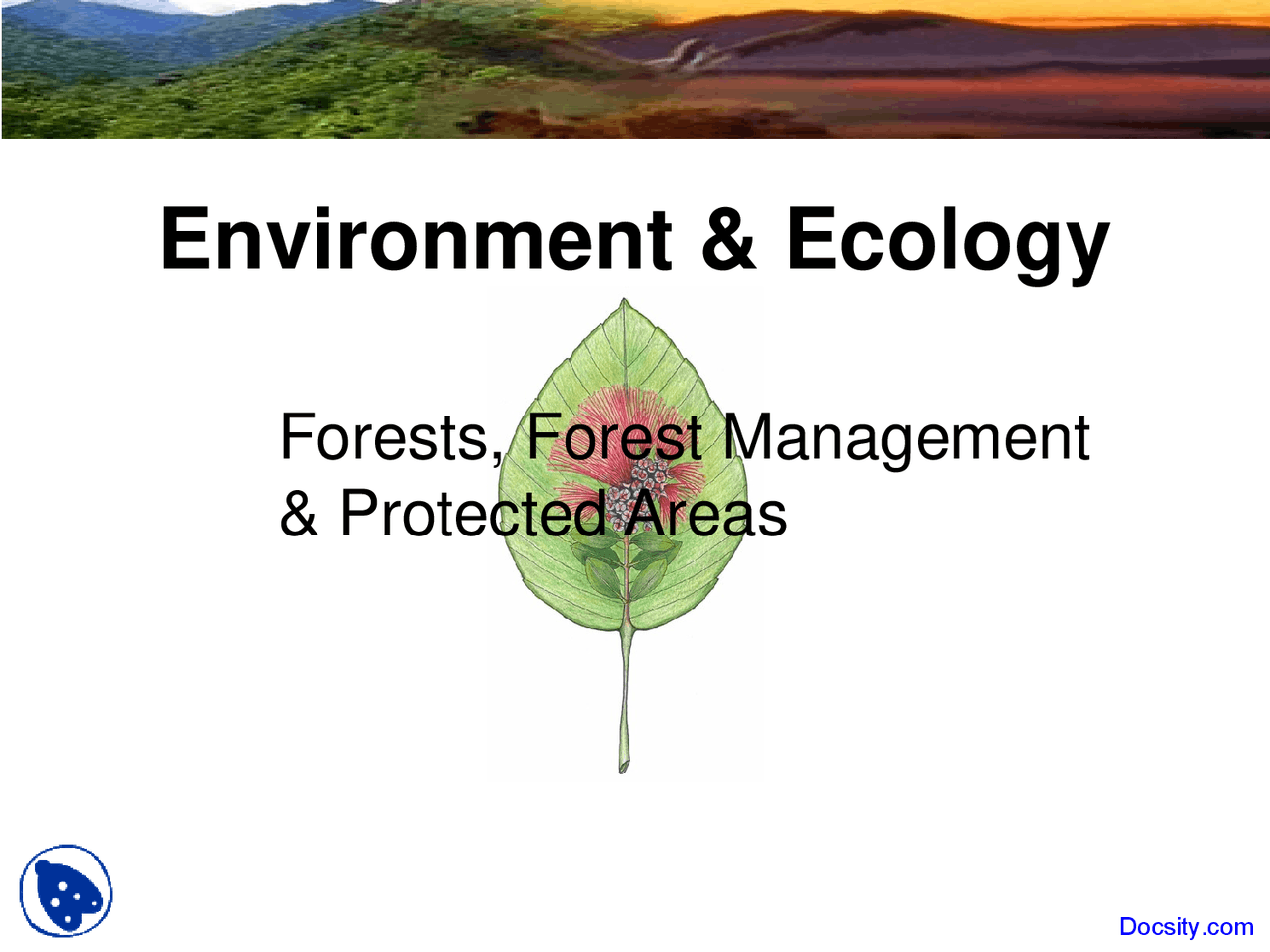 Forest Management Environment And Ecology Lecture Slides Docsity