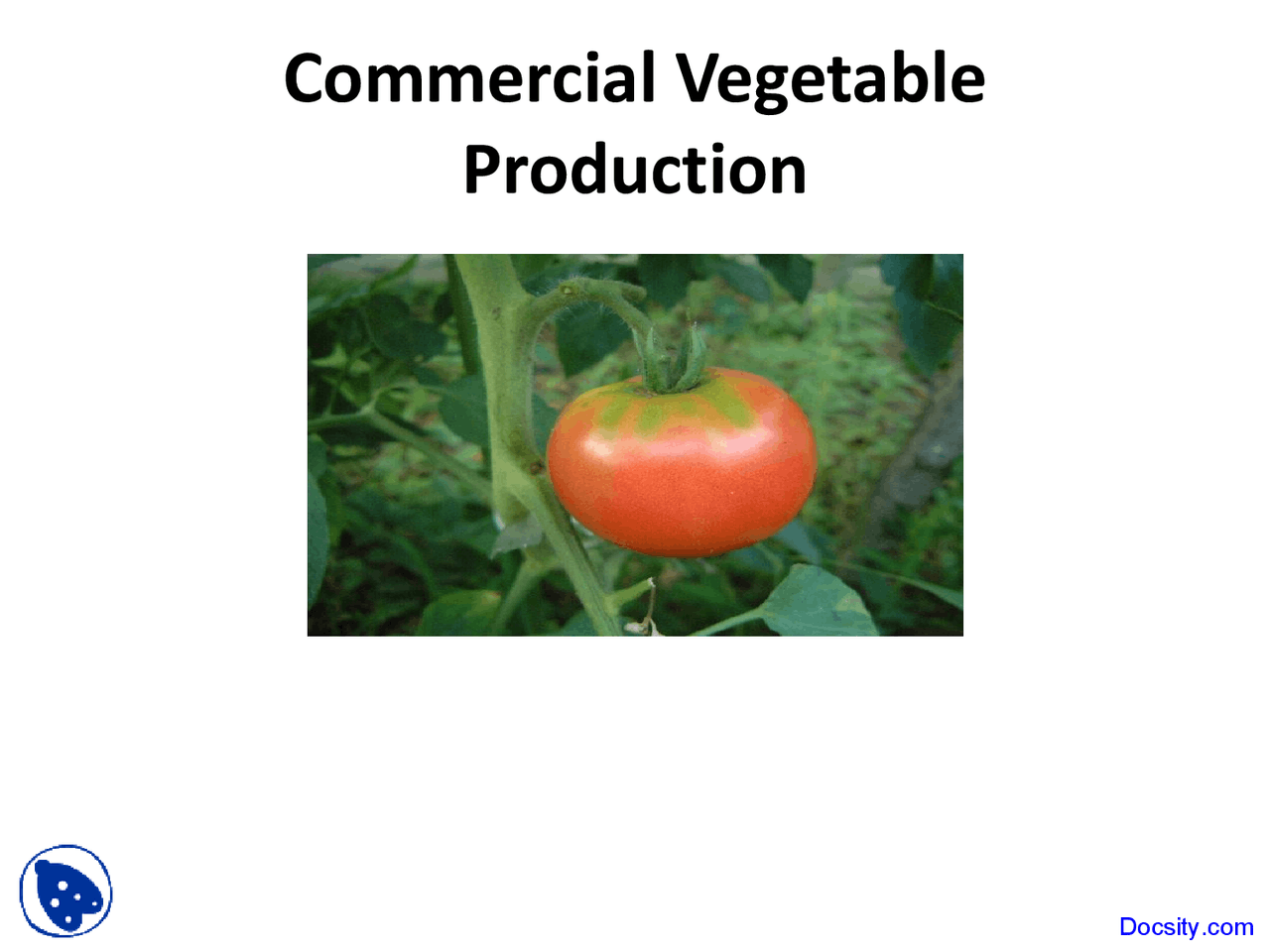 Commercial Vegetable Production, Fruits and Vegestables - Horticulture ...