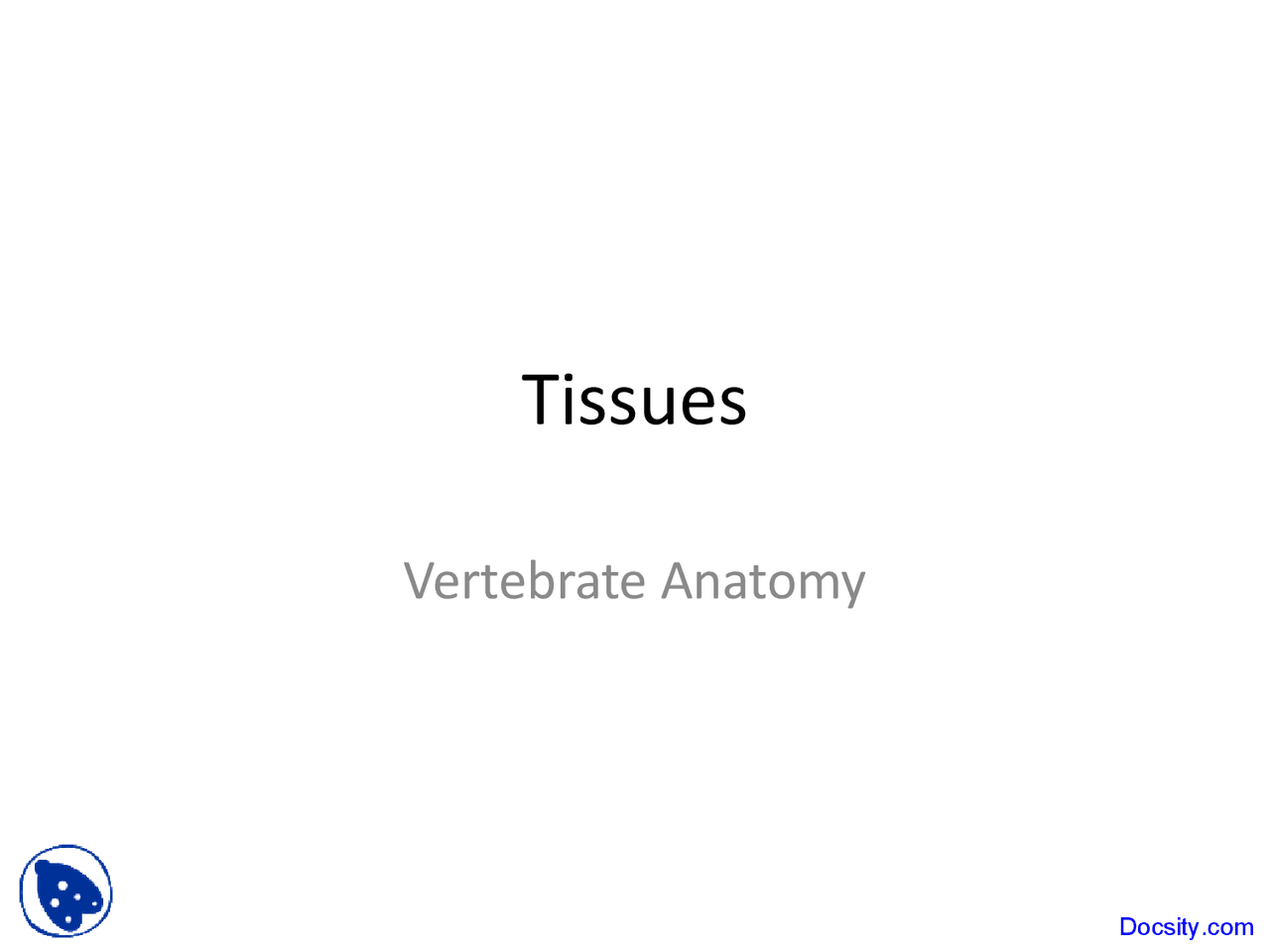 Tissues - Vertebrate Anatomy - Lecture Slides - Docsity