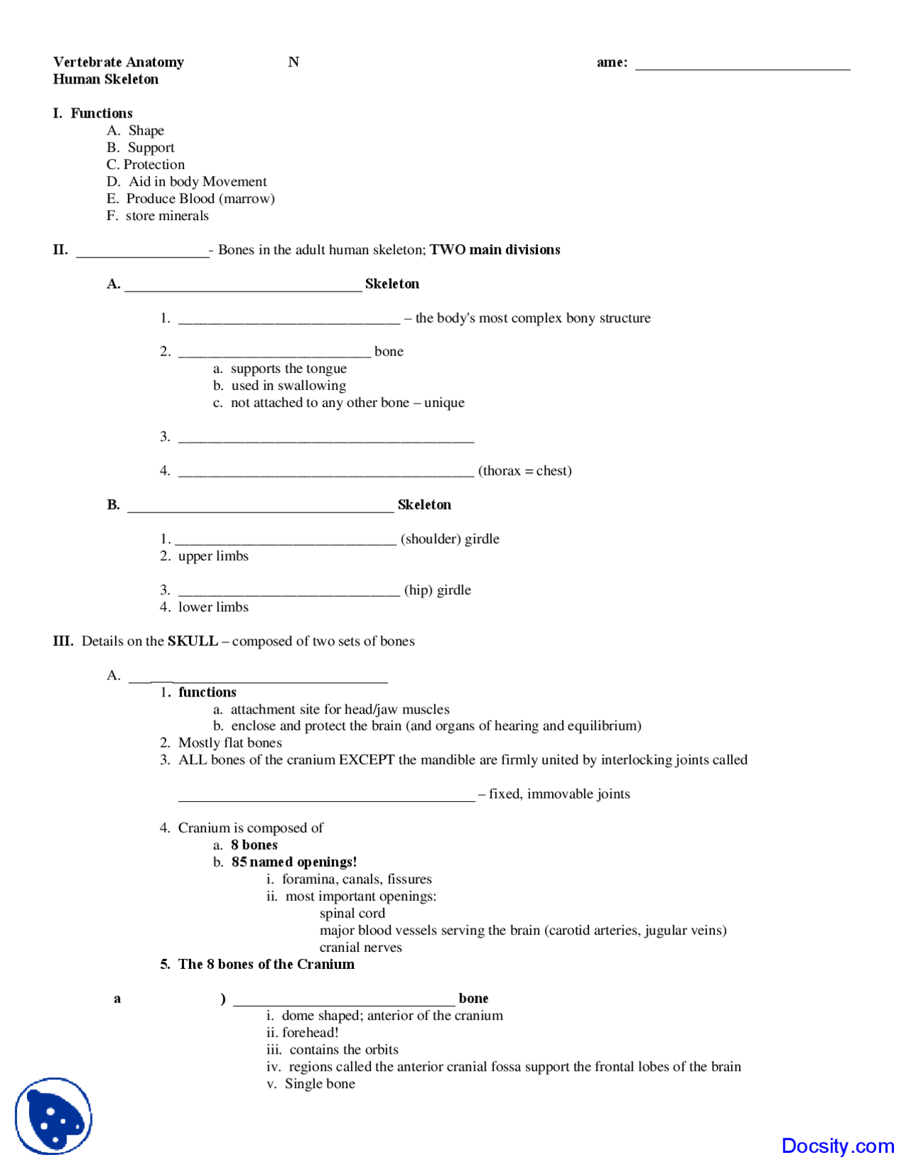 Human Skeleton Vertebrate Anatomy Quiz Docsity