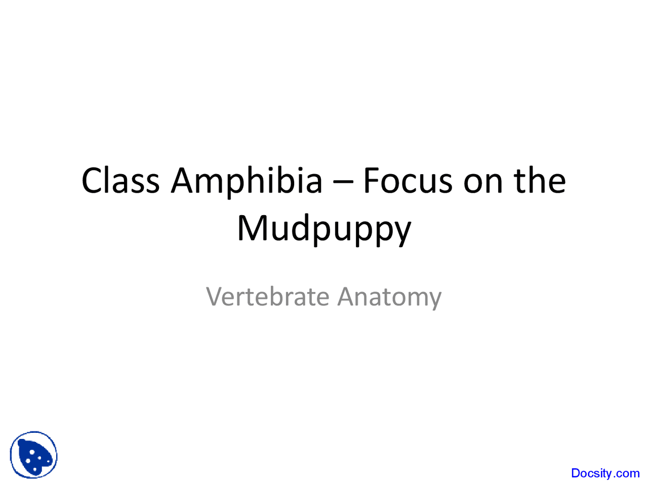 Class Amphibia Vertebrate Anatomy Lecture Slides Docsity
