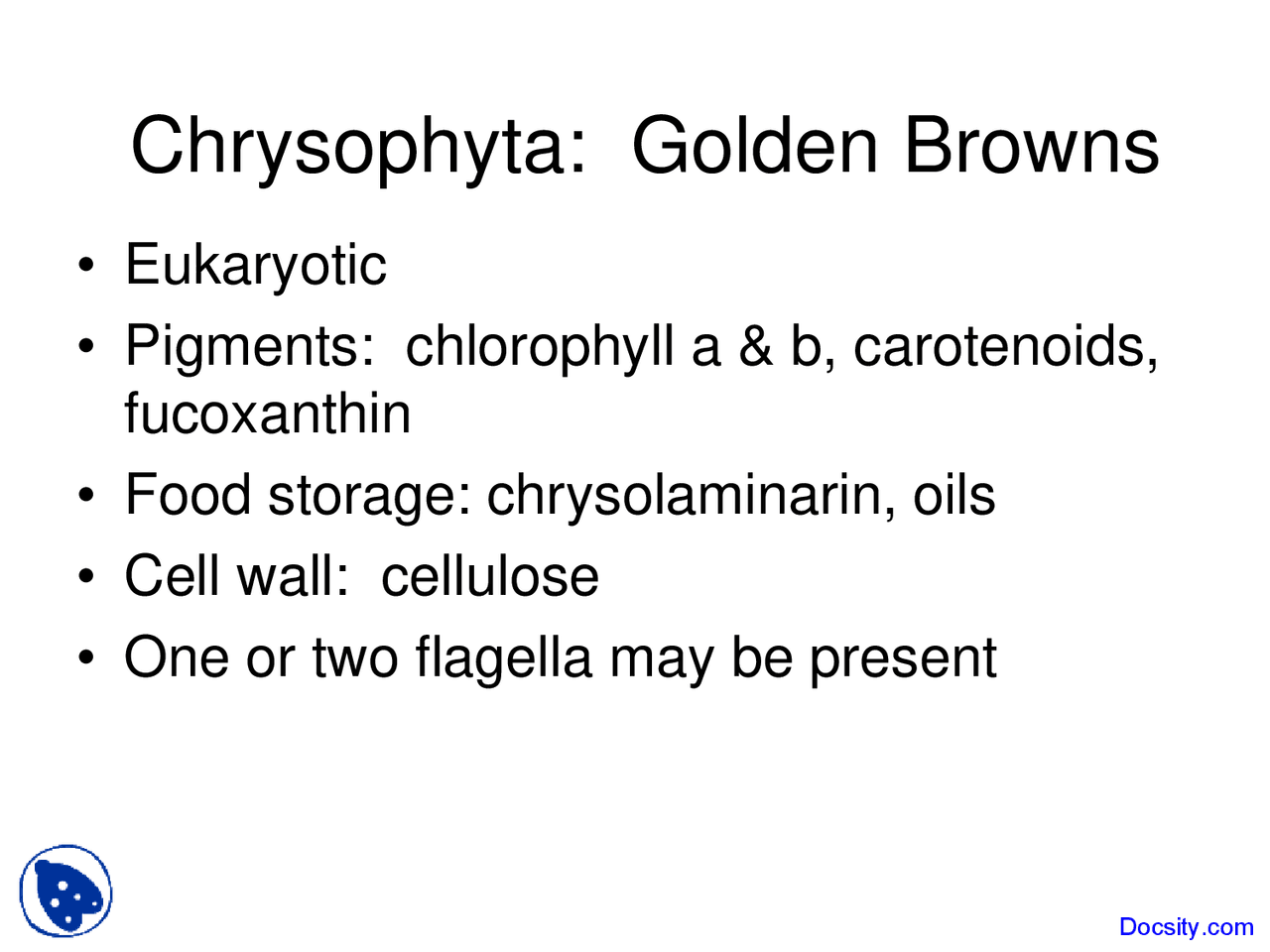 Chrysophyta Limnology Lecture Slides Docsity