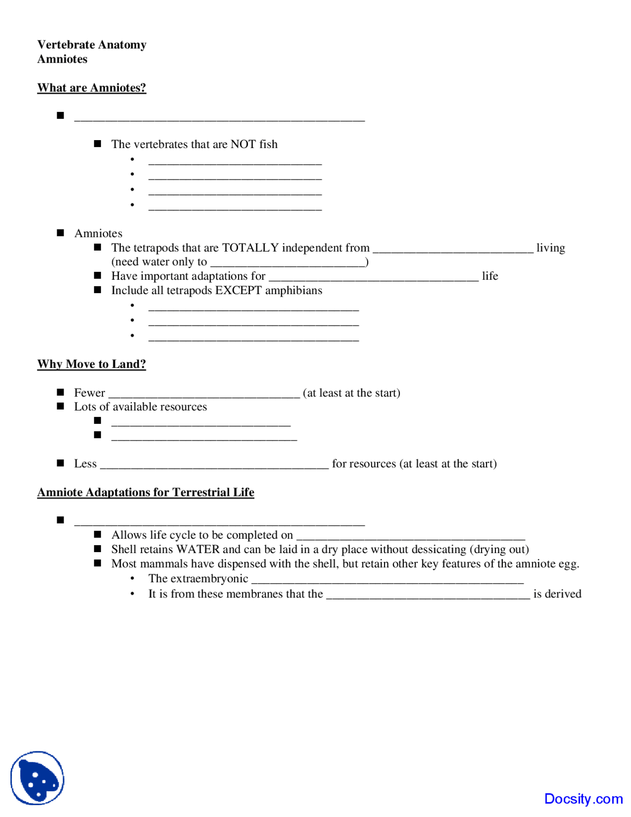 Amniotes Vertebrate Anatomy Quiz Docsity