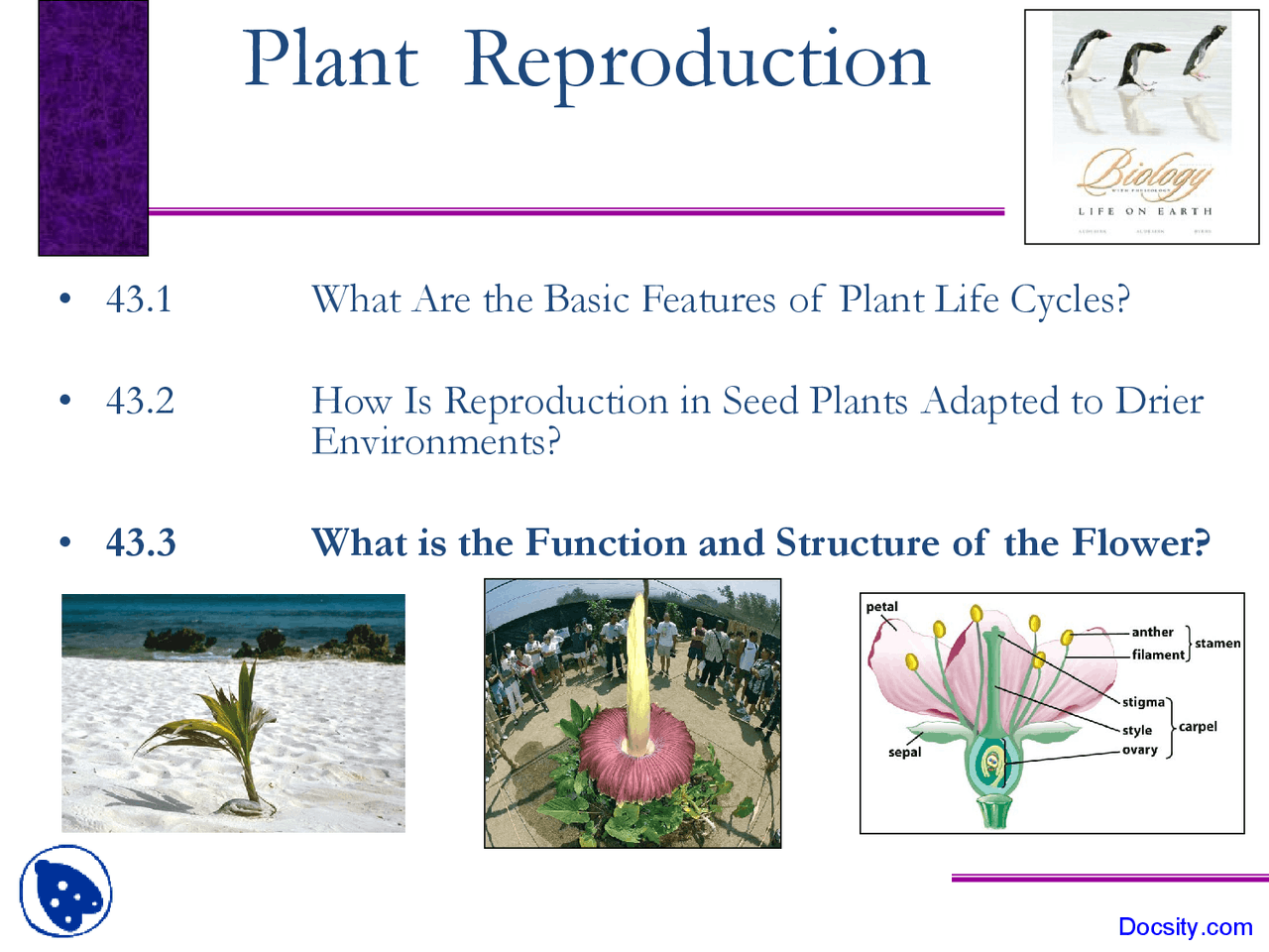 Plant Reproduction - Plant and Animal Anatomy and Physiology - Lecture ...