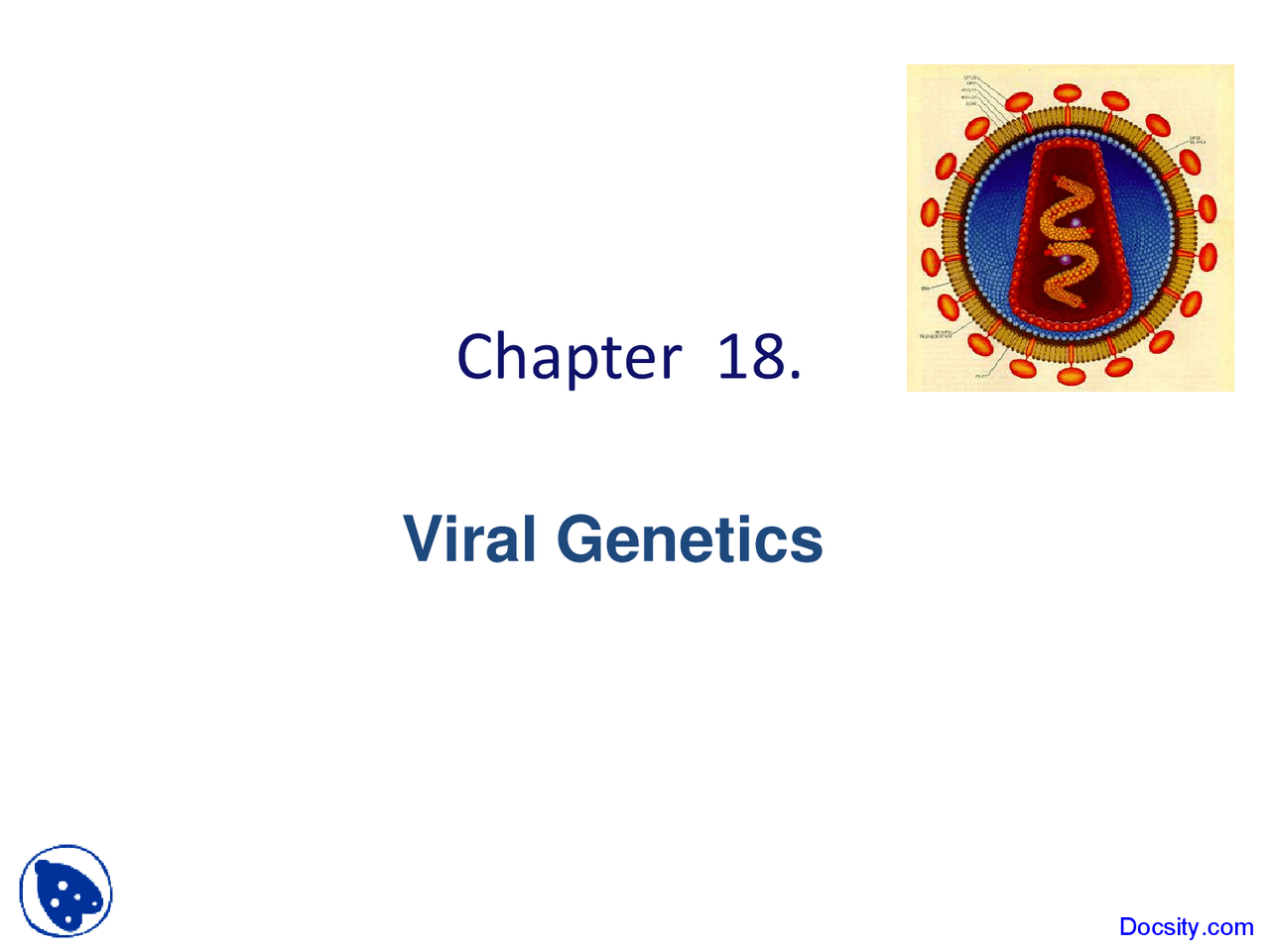 Viral Genetics Application Of Biology Lecture Slides Docsity