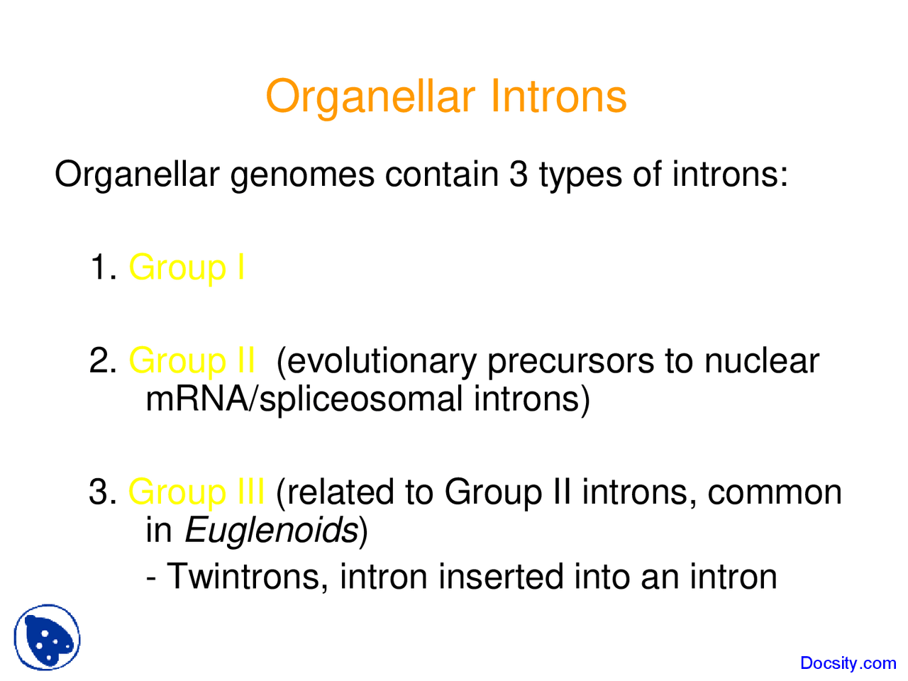 Organellar Introns - Plant Molecular Biology - Lecture Slides - Docsity
