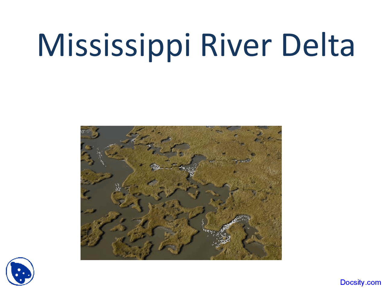 Mississippi River Delta Wetland And Riparian Ecology Lecture Slides