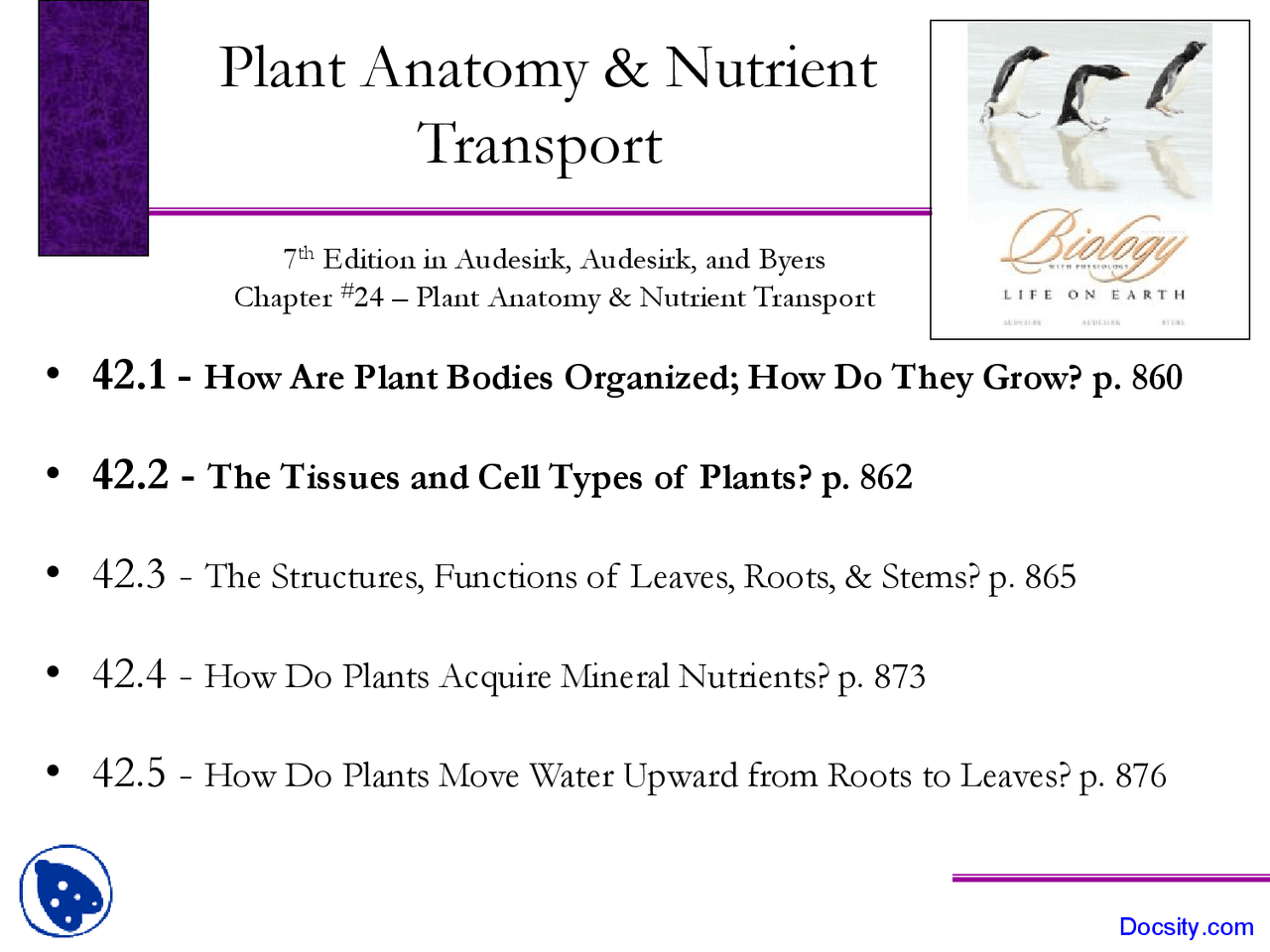 Plant Anatomy and Nutrient Transport - Plant and Animal Anatomy and ...