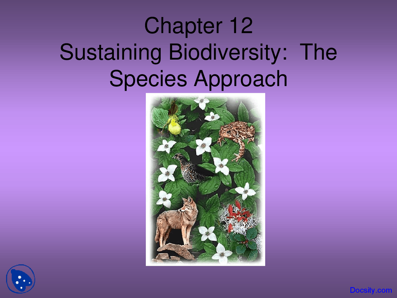 Sustaining Biodiversity Environmental Science Lecture Slides Docsity