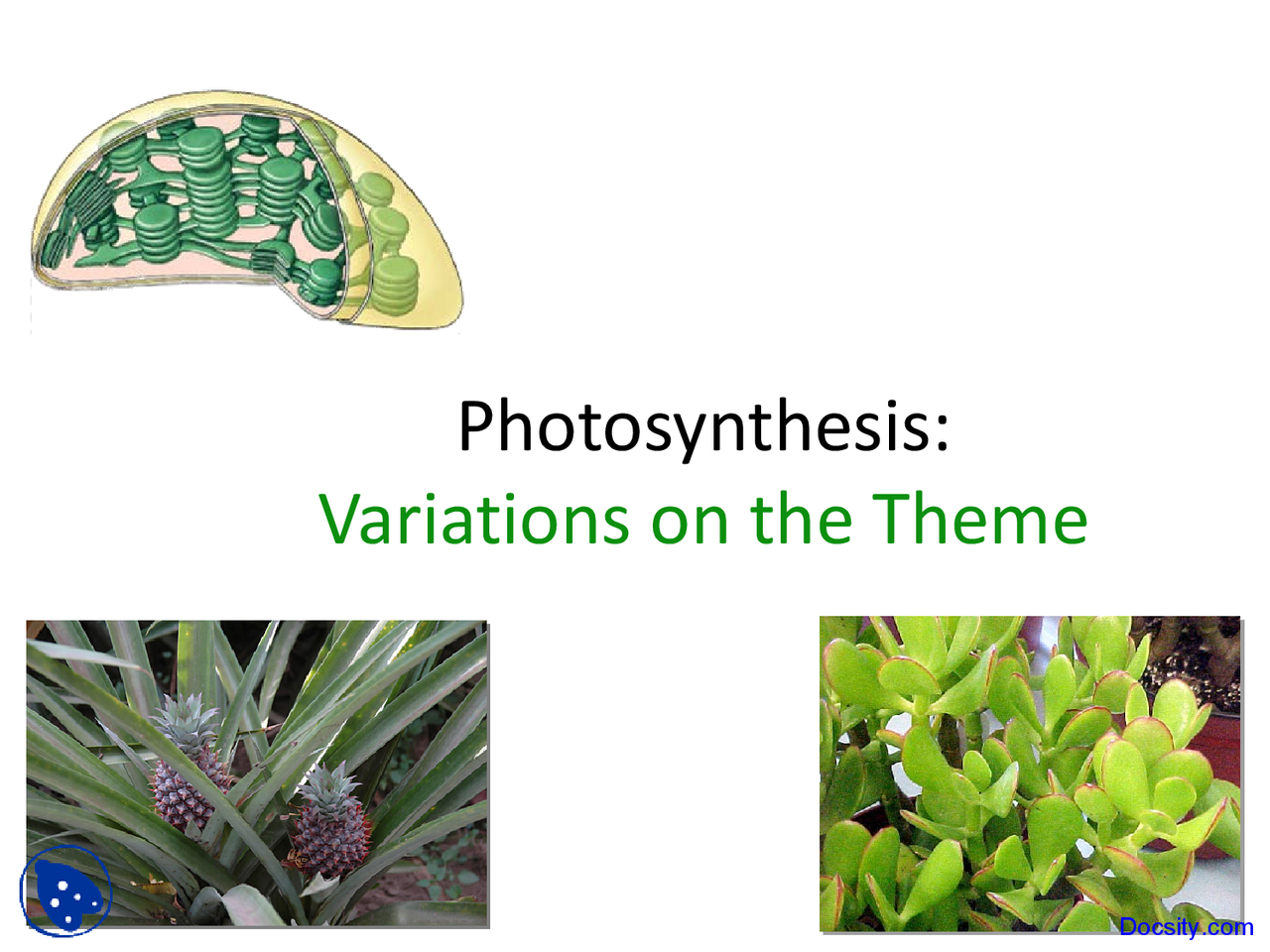 Variations On The Theme Application Of Biology Lecture Slides Docsity