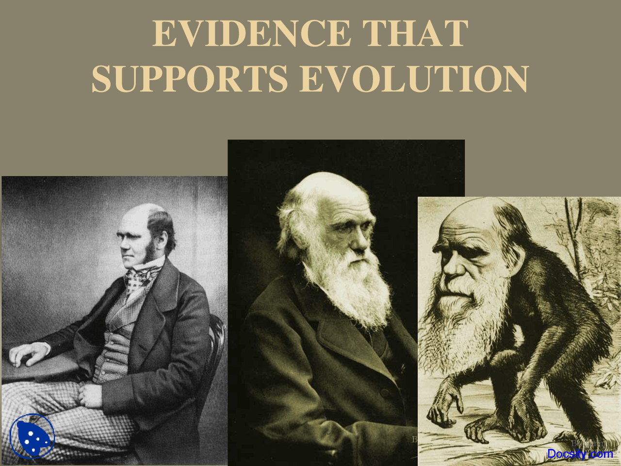 Evolution Evidence Application Of Biology Lecture Slides Docsity
