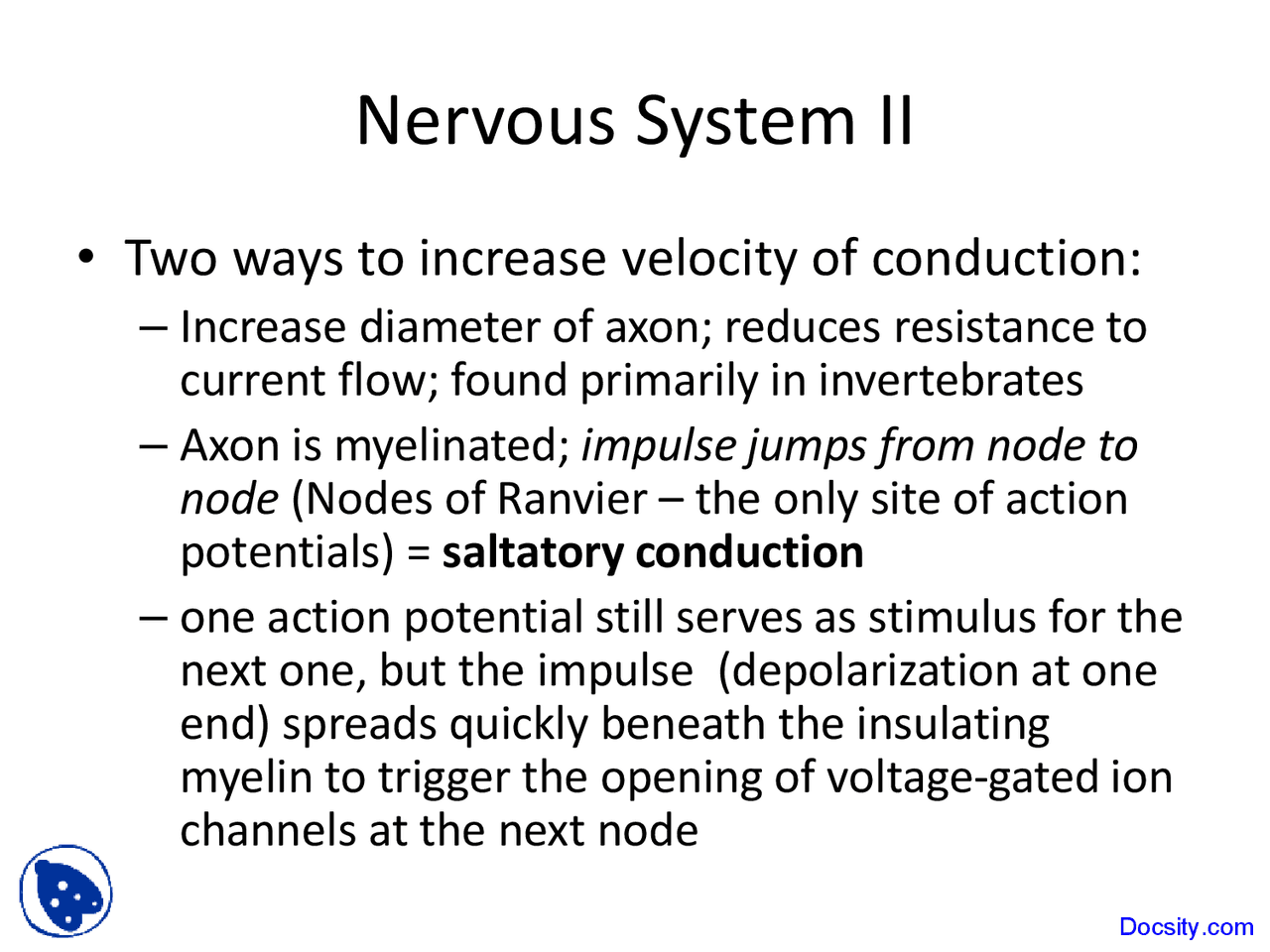 Nervous System Two Modern Biology Lecture Slides Docsity