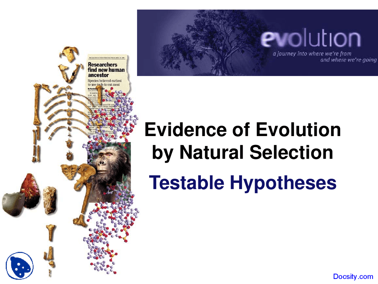 Testable Hypotheses - Application of Biology - Lecture Slides - Docsity