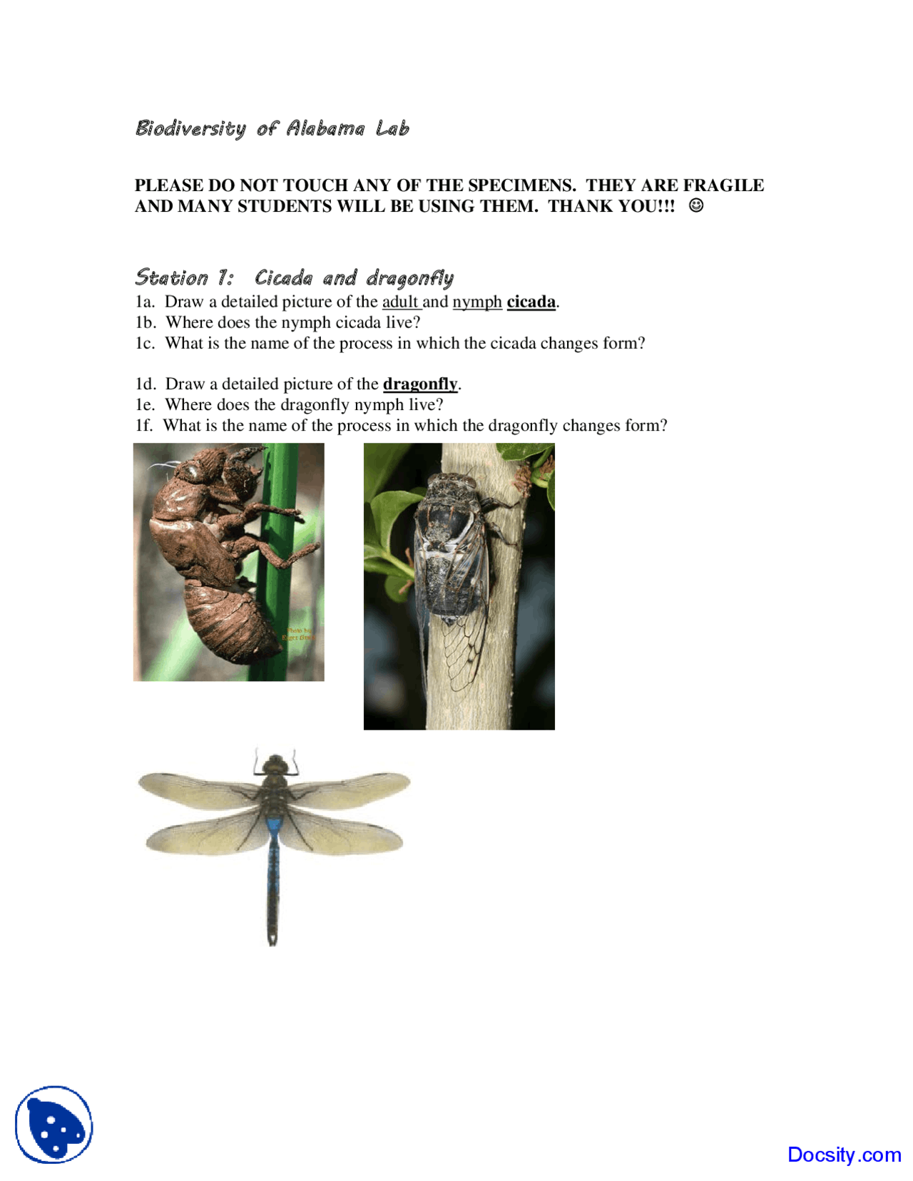Biodiversity Of Alabama Environmental Science Lecture Notes Docsity