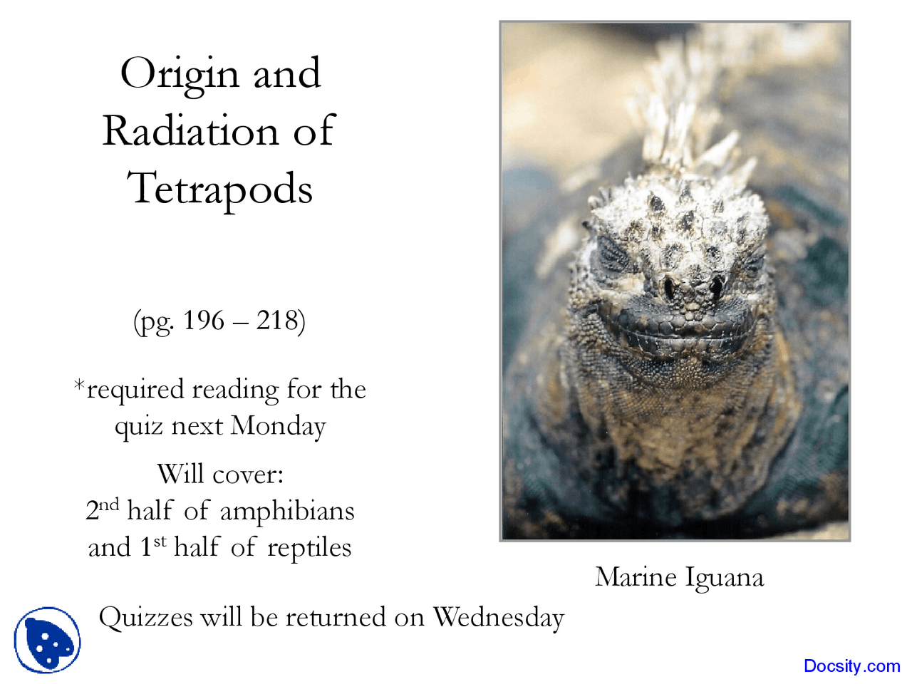Origin and Radiation of Tetrapods - Vertebrate Natural History ...
