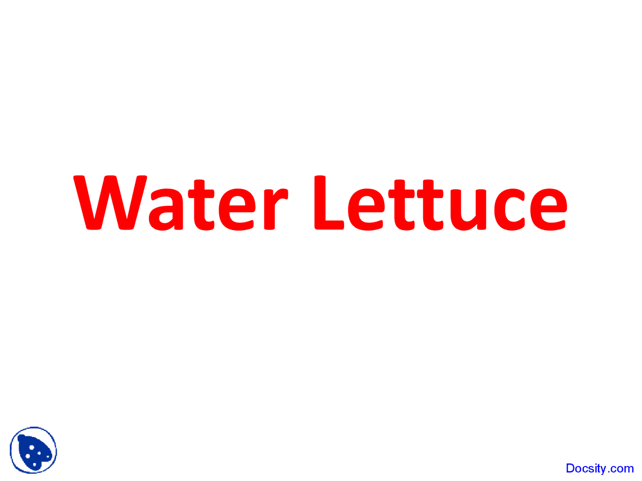 Water Lettuce Wetland And Riparian Ecology Lecture Slides Docsity