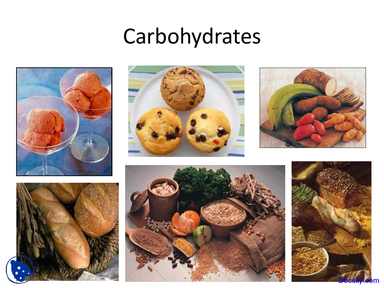 Carbohydrates Application Of Biology Lecture Slides Docsity