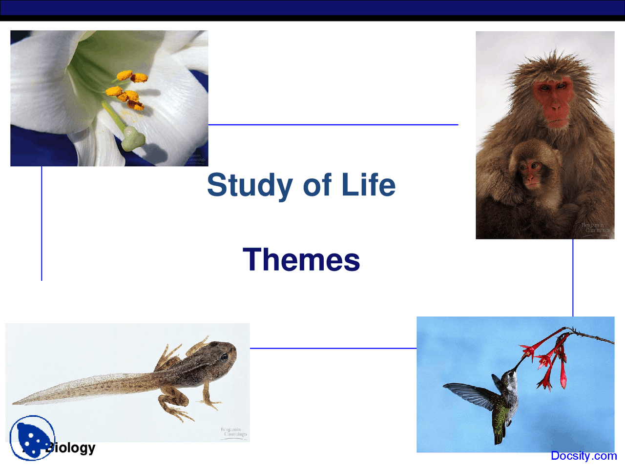 Themes Application Of Biology Lecture Slides Docsity