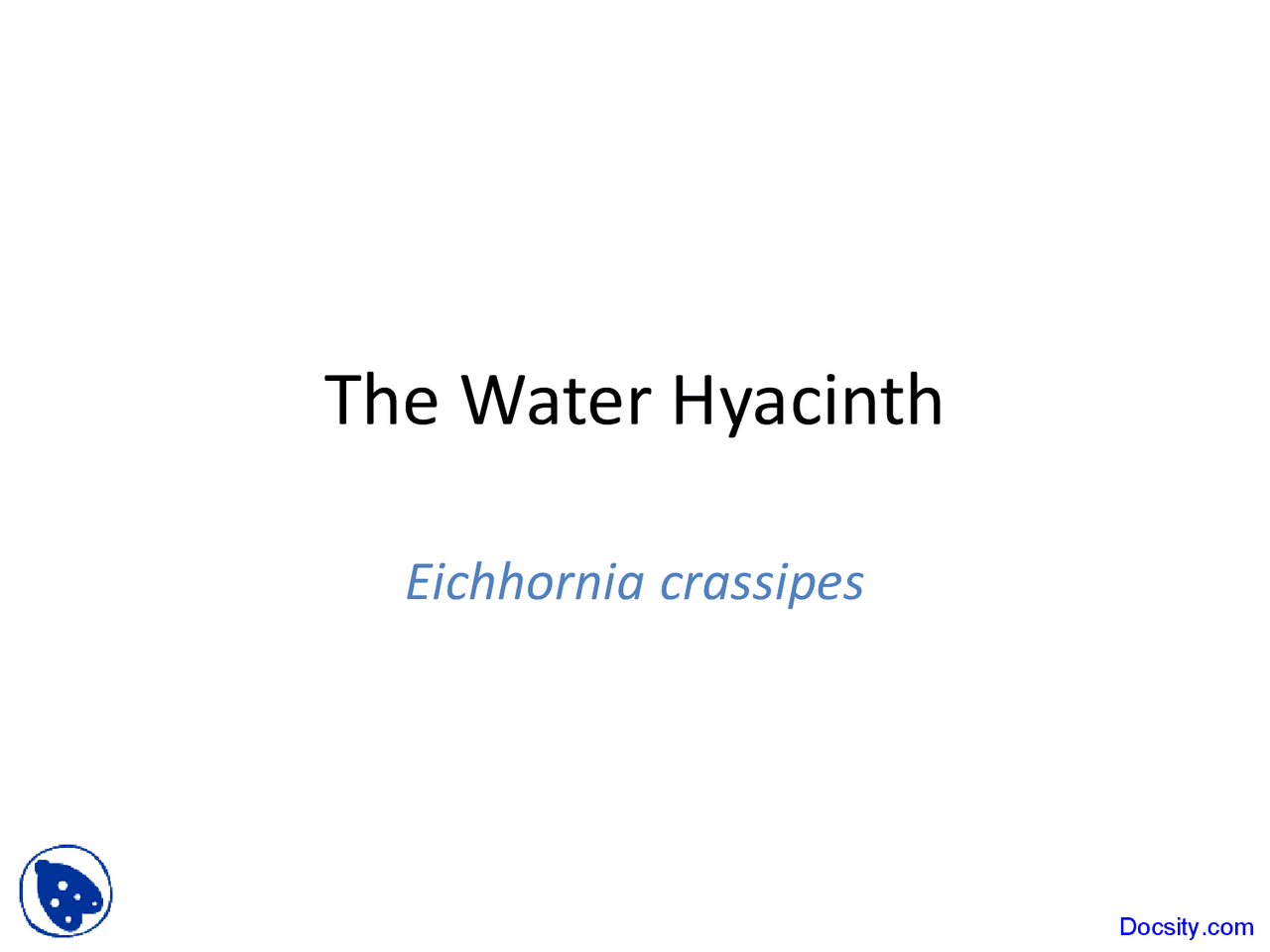 Water Hyacinth Wetlands Lecture Slides Docsity