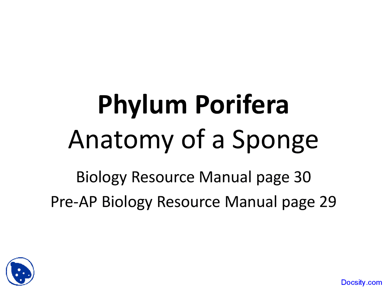 Anatomy Of A Sponge Application Of Biology Lecture Slides Docsity