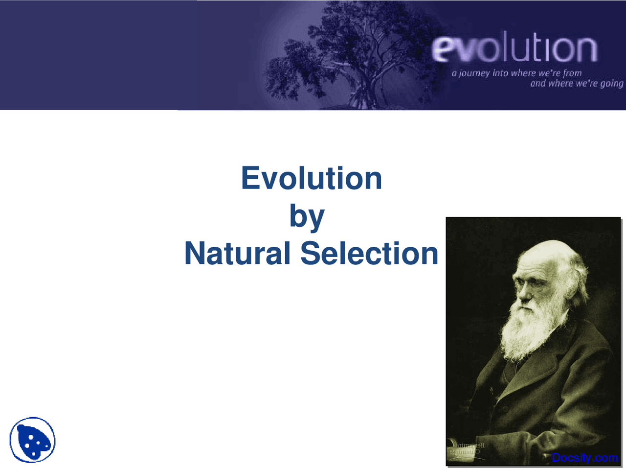 Evolution By Natural Selection Application Of Biology Lecture