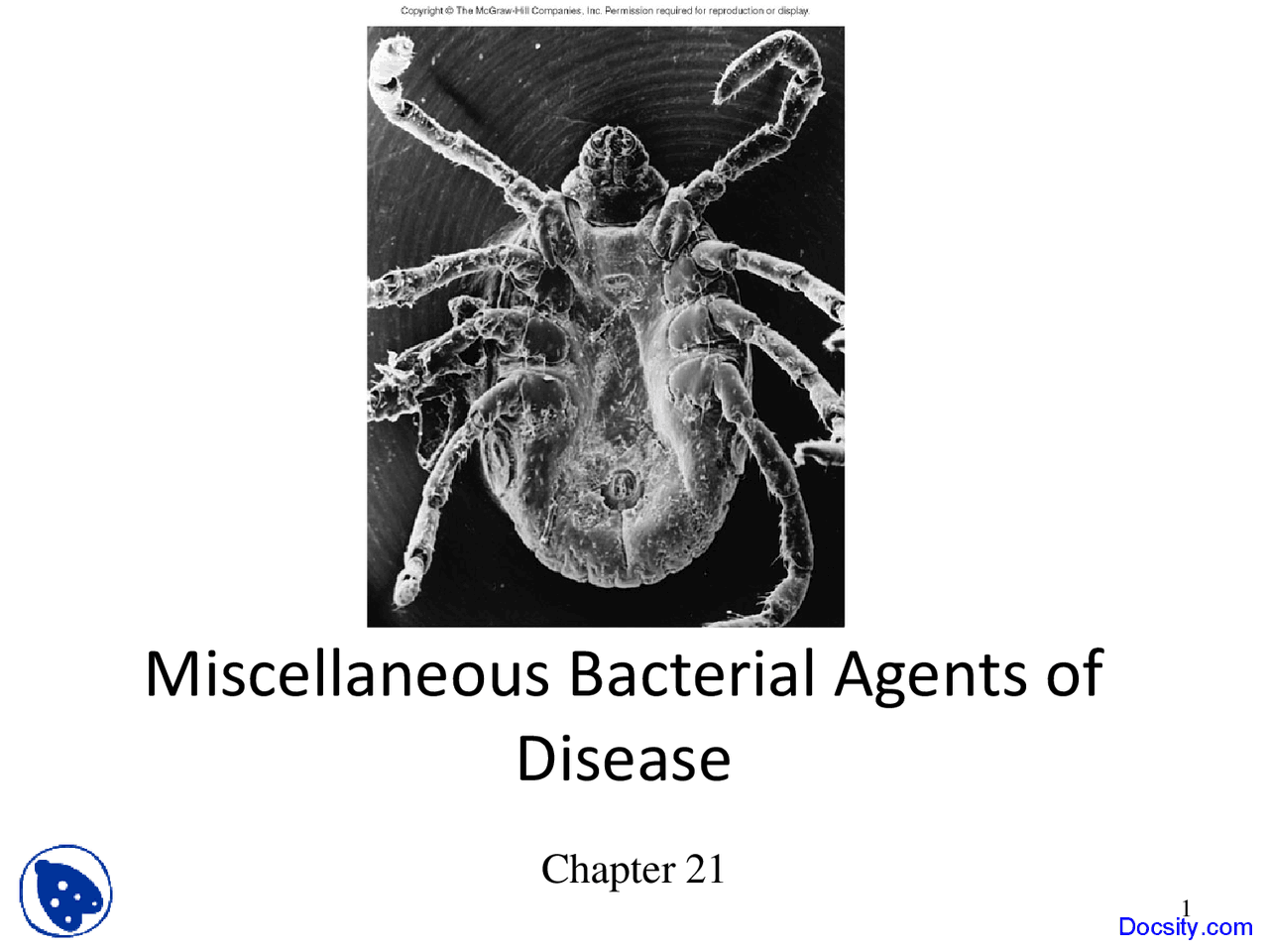 Miscellaneous Bacterial Agents - Microbiology - Lecture Slides - Docsity