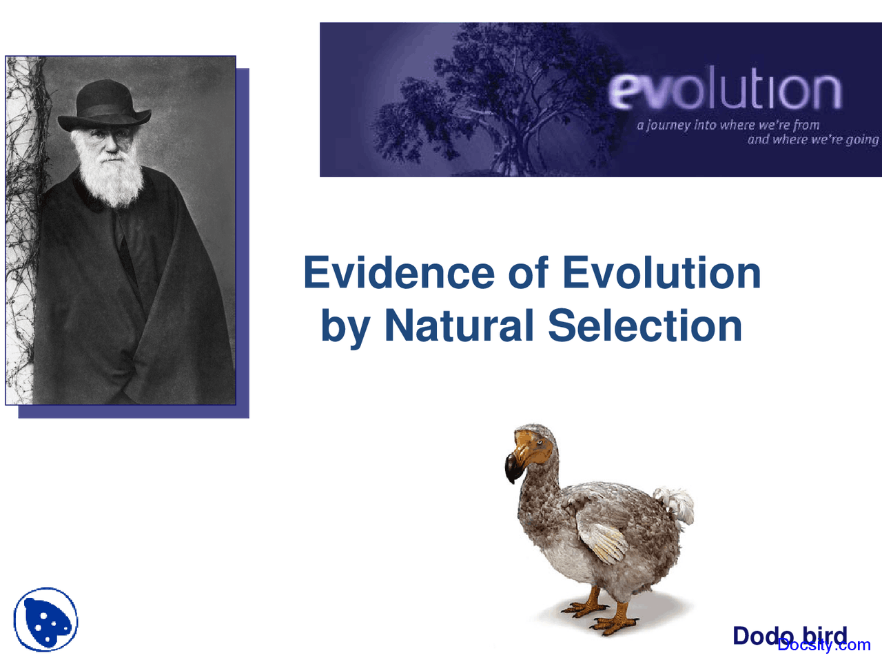 Natural Selection Application Of Biology Lecture Slides Docsity