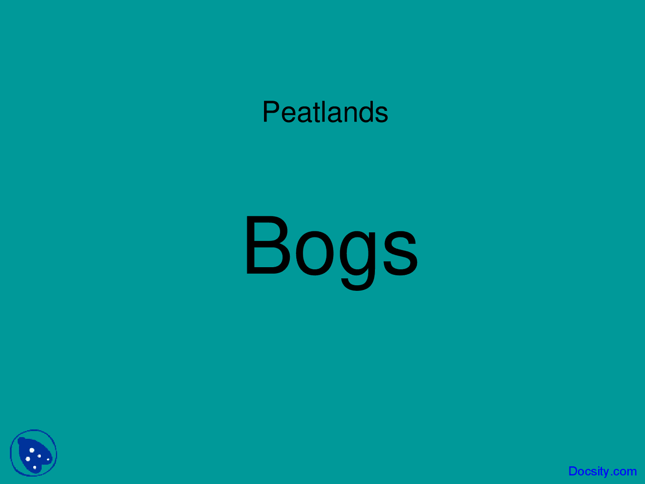 Bogs Wetlands Lecture Slides Docsity