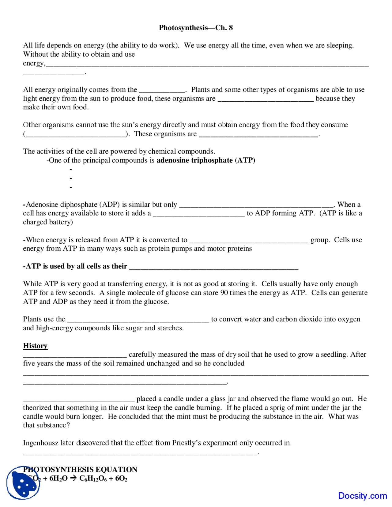 Photosynthesis Application Of Biology Assignment Exercises