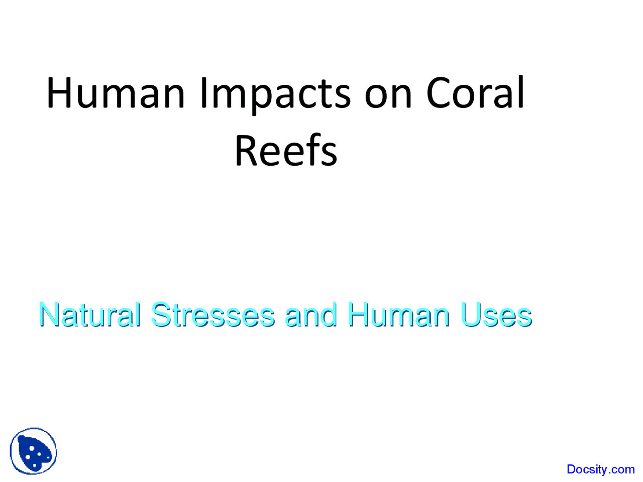 Human Impacts on Coral Reefs - Human Impact on the Environment ...