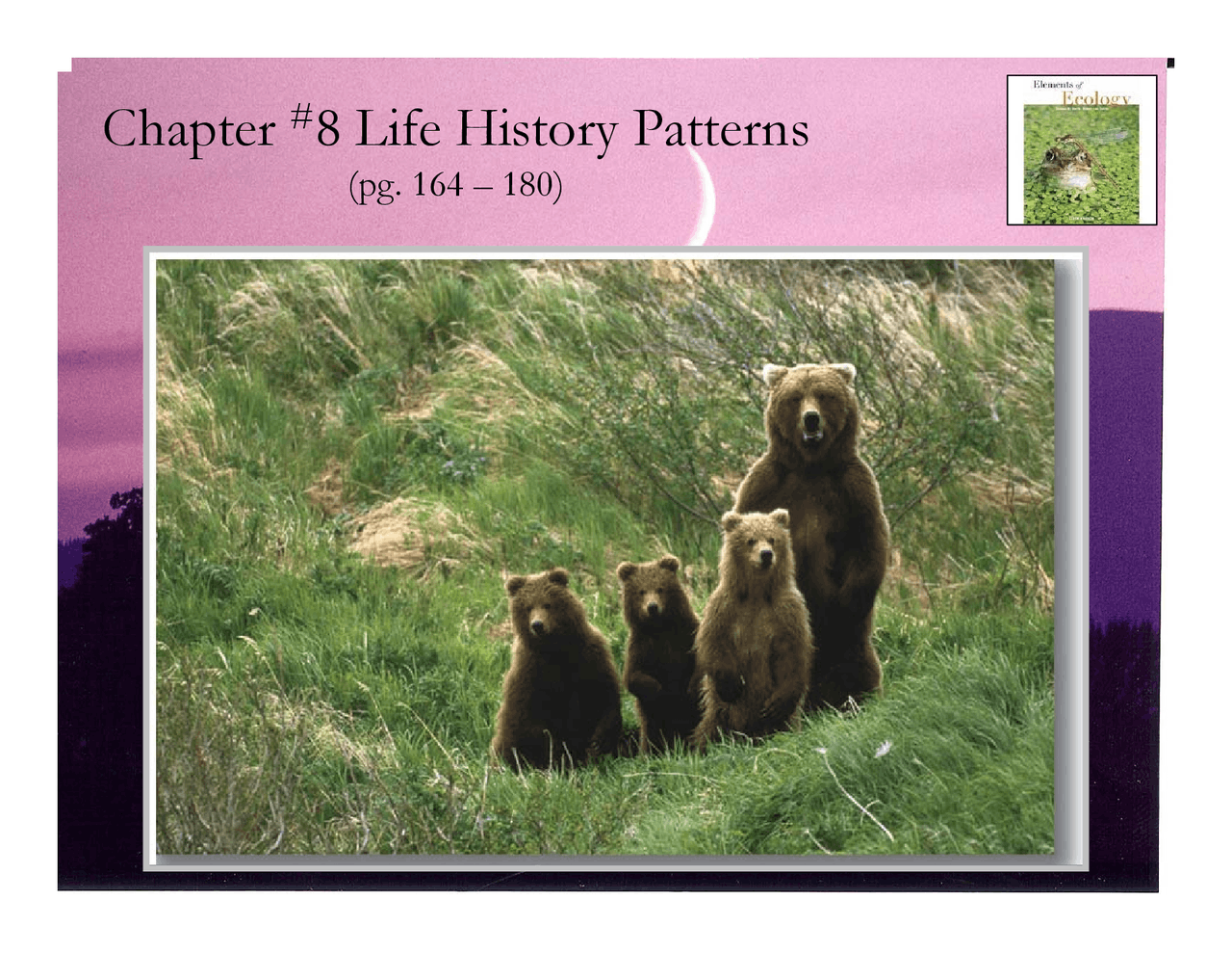 Life History Patterns - Evolution, Ecology and Biodiversity - Lecture ...