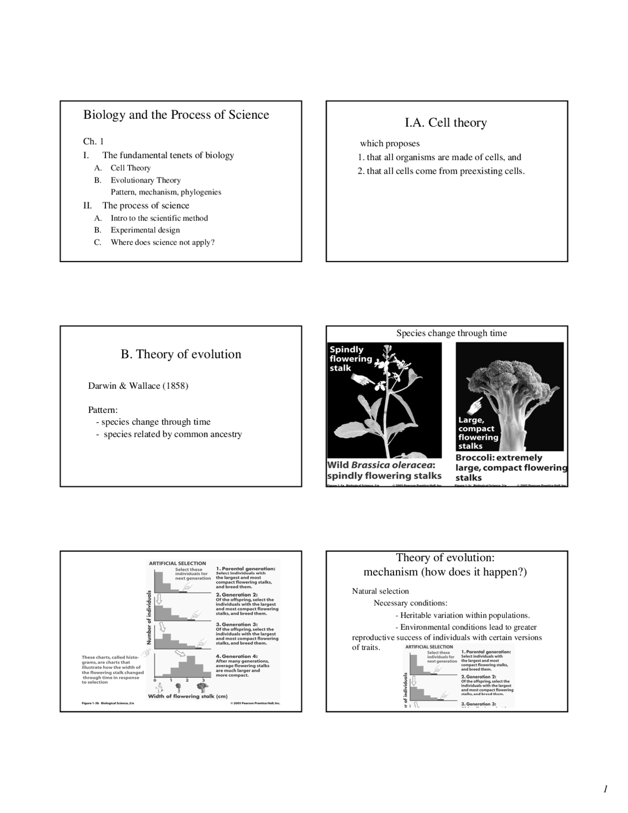Process Of Science Evolution Ecology And Biodiversity Lecture