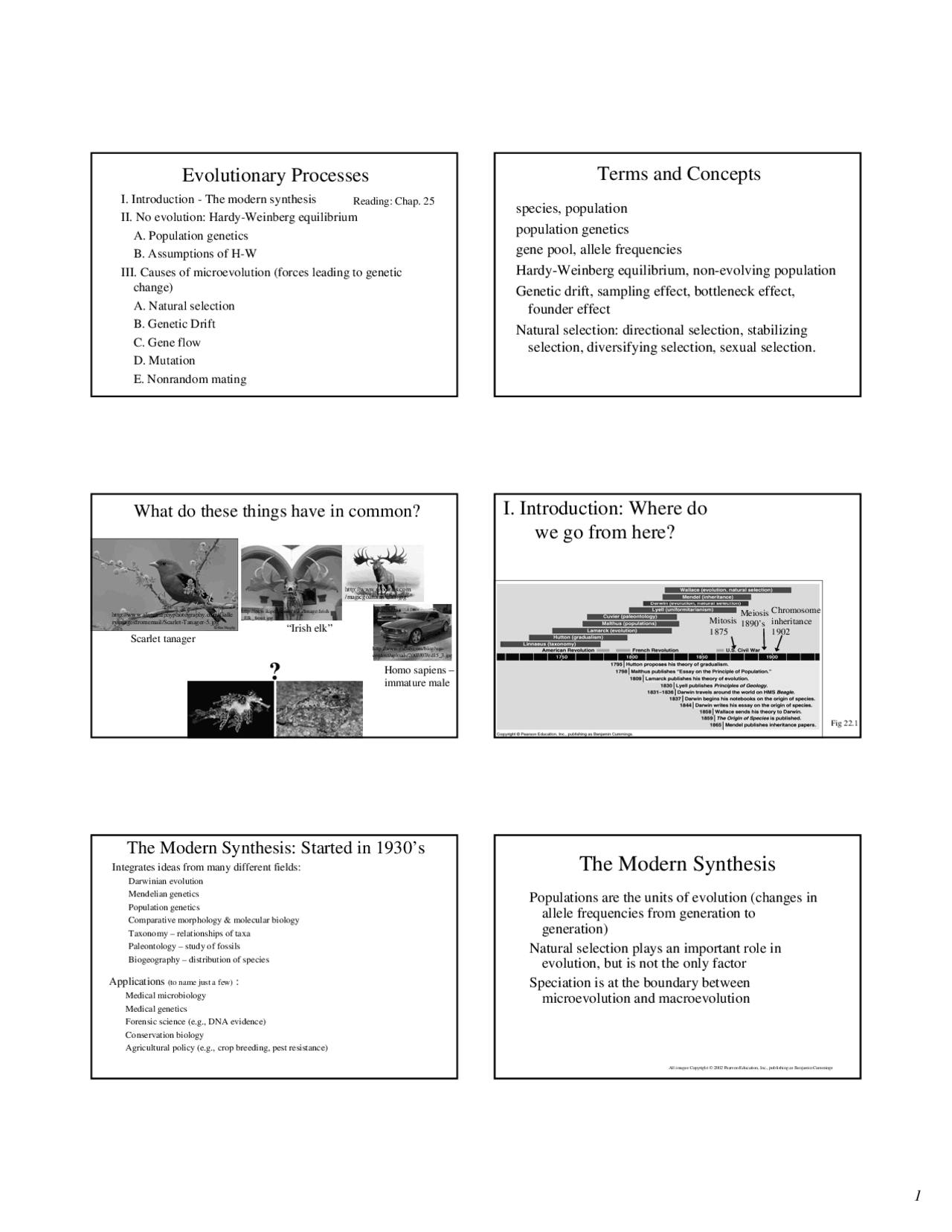 Evolutionary Processes Evolution Ecology And Biodiversity Lecture