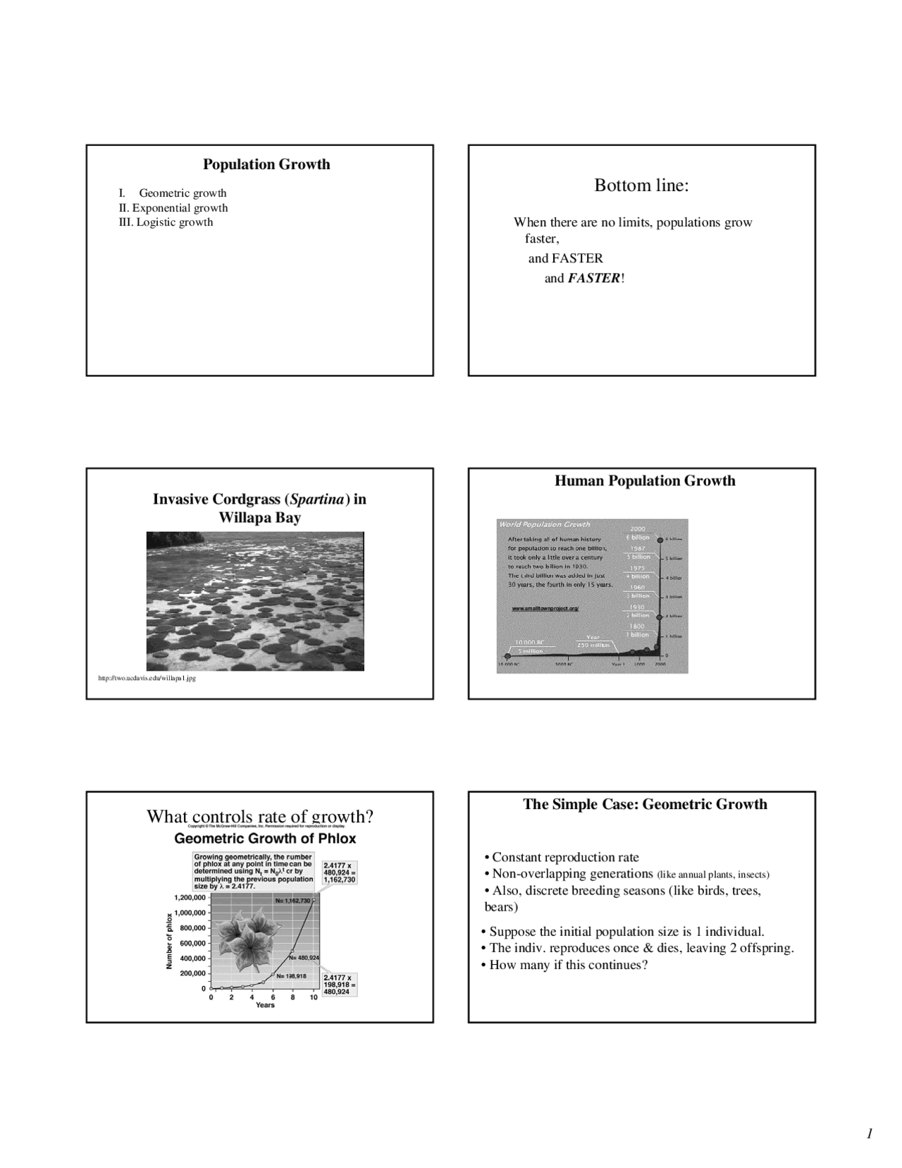 Population Growth - Evolution, Ecology and Biodiversity - Lecture ...