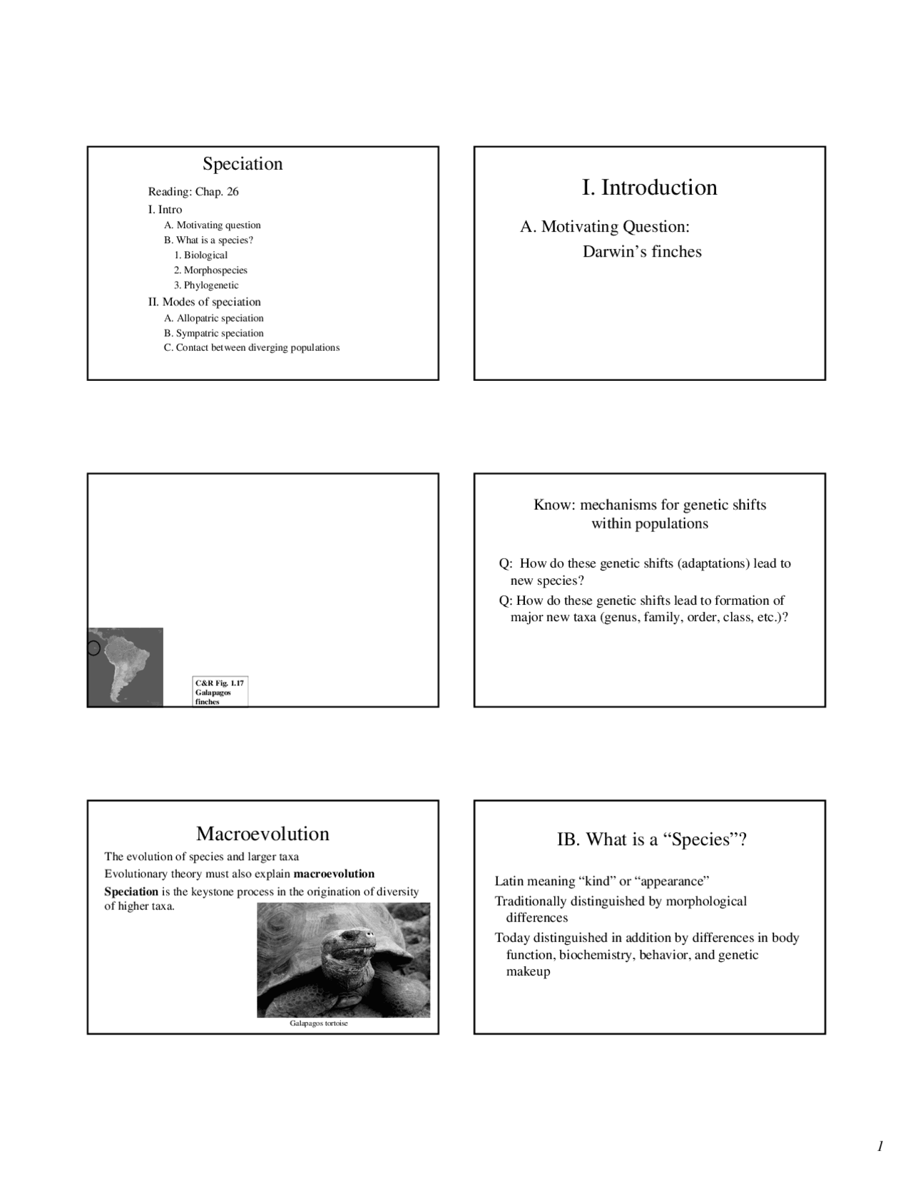 Speciation Evolution Ecology And Biodiversity Lecture Slides Docsity
