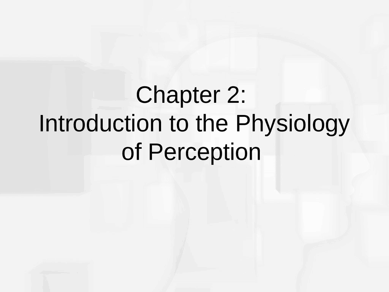 Introduction To Physiology Of Perception Lecture Slides Psy 4030