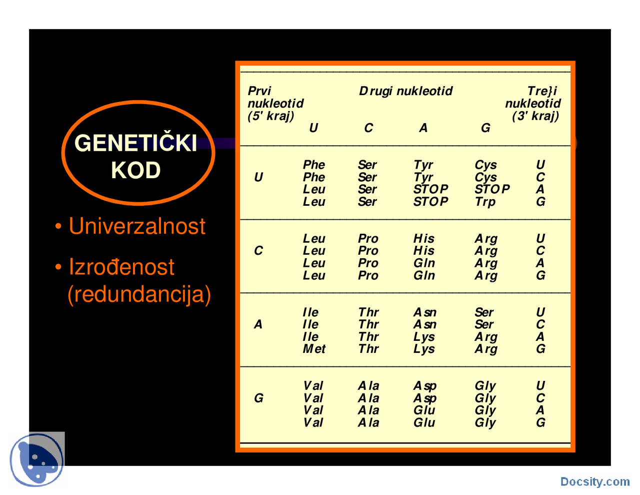 Geneticki kod-Osnovi molekularne biologije-slajdovi-3-2005 | Slajdovi' predlog Molekularna i ...