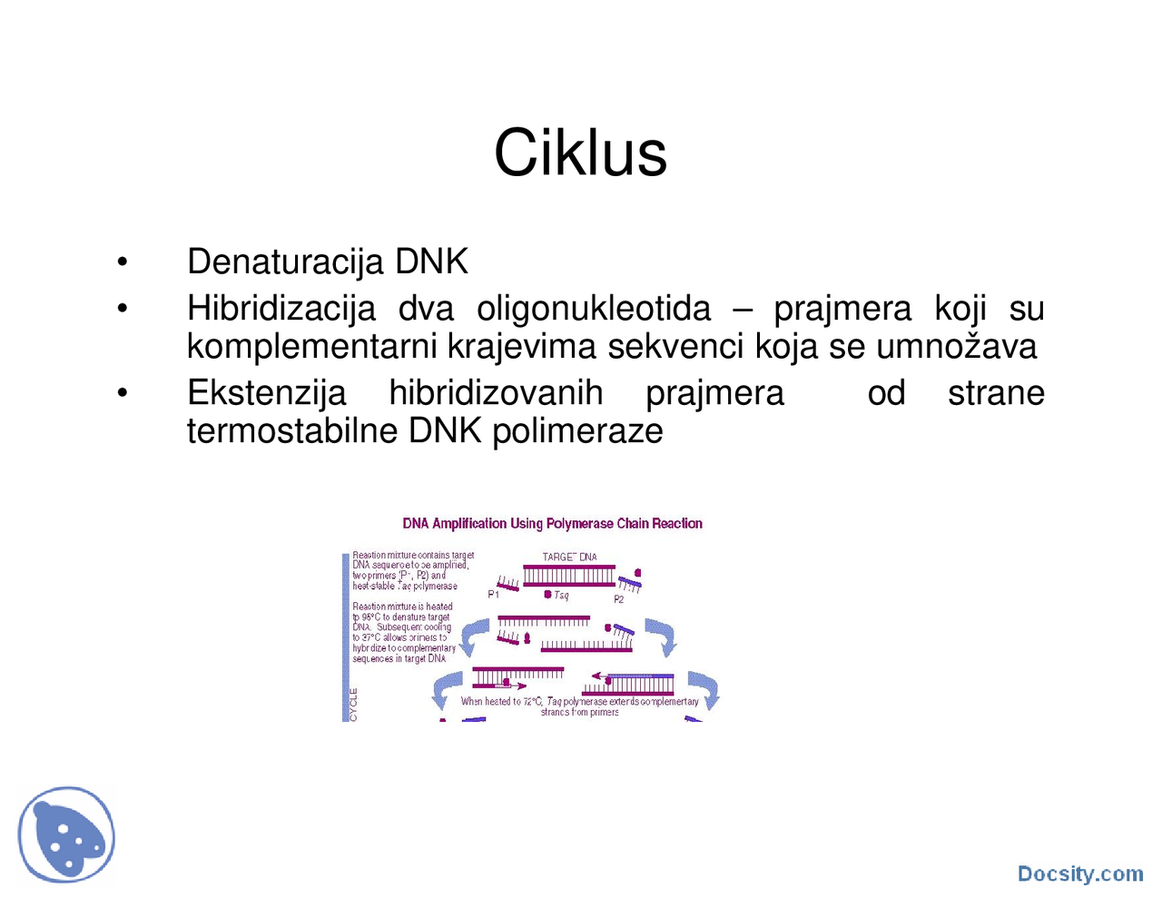 Molekularna genetika-Analiza Dnk molekula Part2-slajdovi | Slajdovi ...
