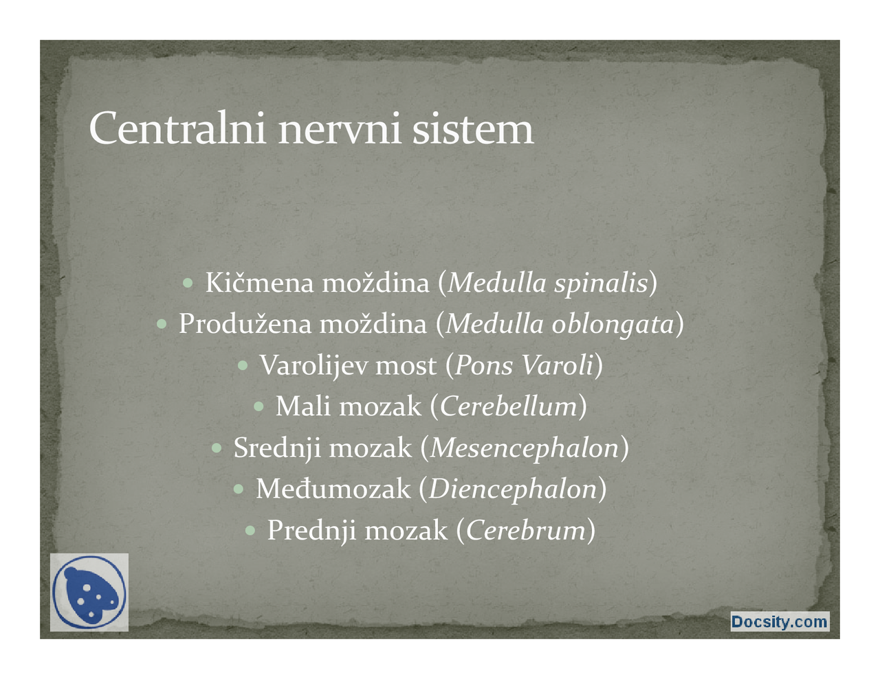 Osnovi neurologije3-slajdovi-Neurobiologija Part2 | Slajdovi' predlog ...
